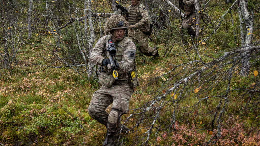 The Swedish Armed Forces