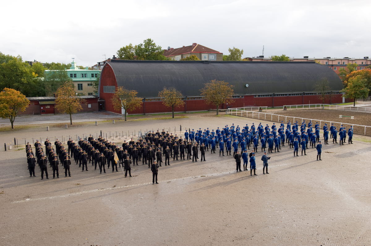 Organisation - Swedish Armed Forces