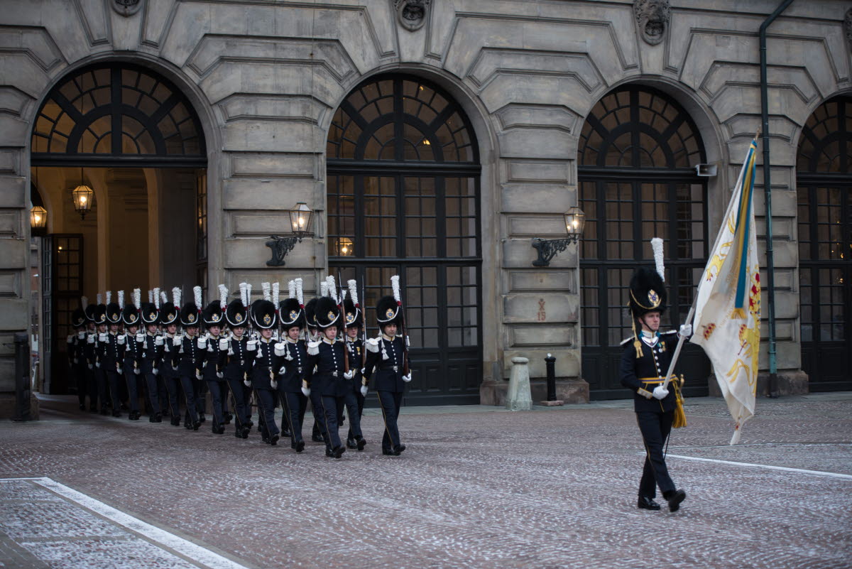 Formal Audiences - Swedish Armed Forces