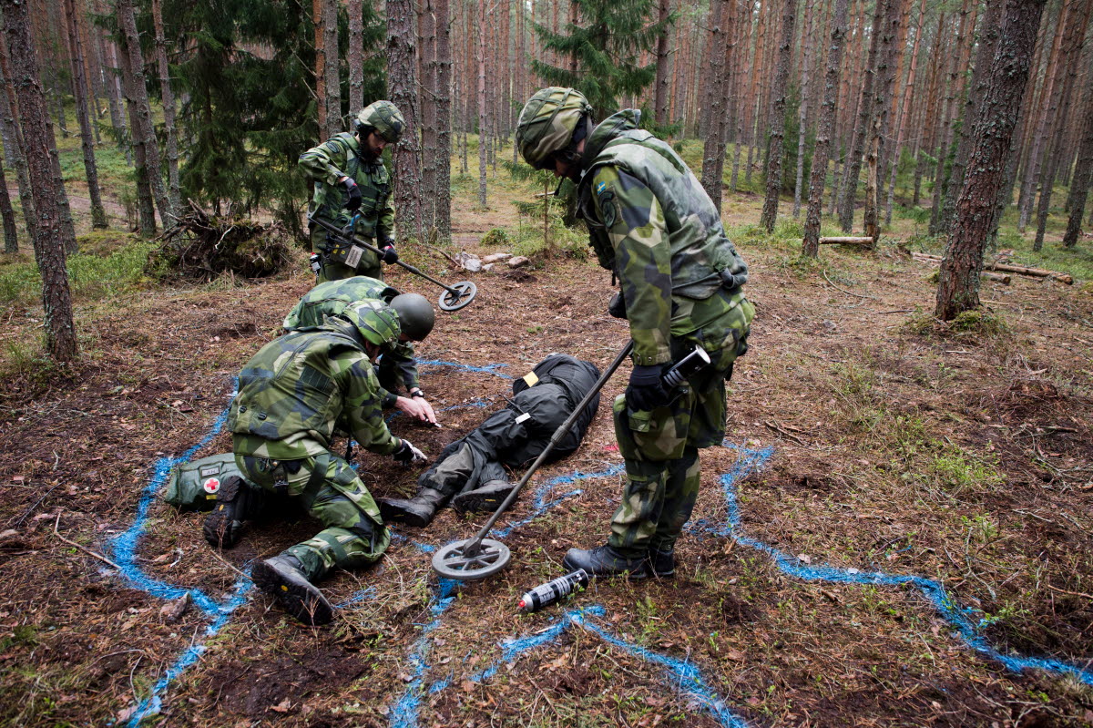 Göta Engineers (Ing 2) - Swedish Armed Forces