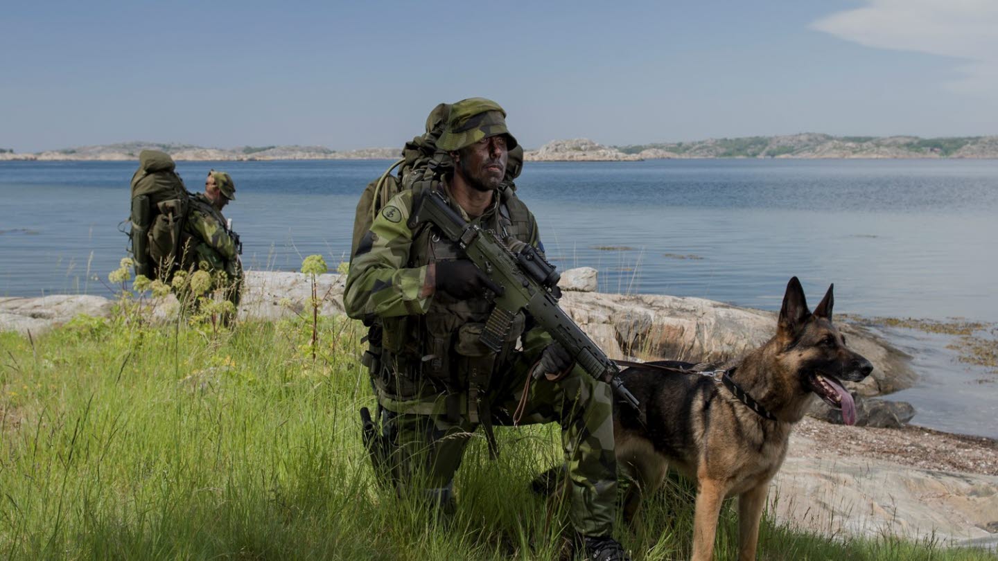 Älvsborgs amfibieregemente (Amf 4) - Försvarsmakten