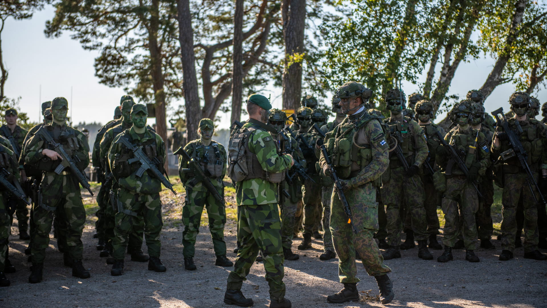 Sweden and Finland exercise joint defence - Swedish Armed Forces