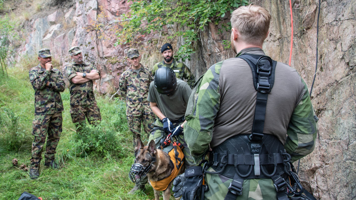 FHTE besöktes av schweiziska kollegor - Försvarsmakten