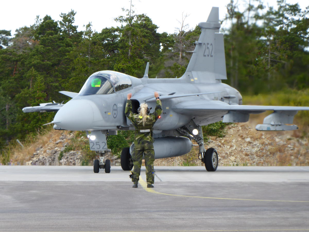 Blekinge flygflottilj, F 17 - Försvarsmakten