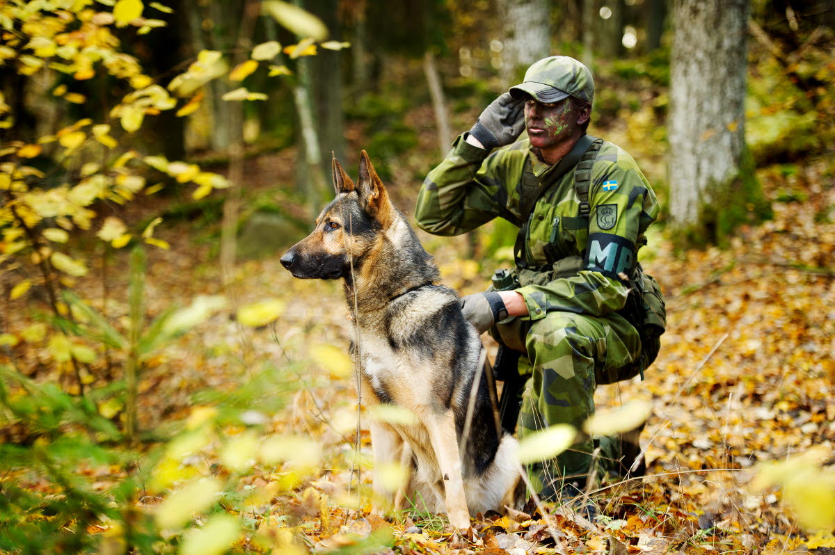 The Intelligence and Security Service - Swedish Armed Forces
