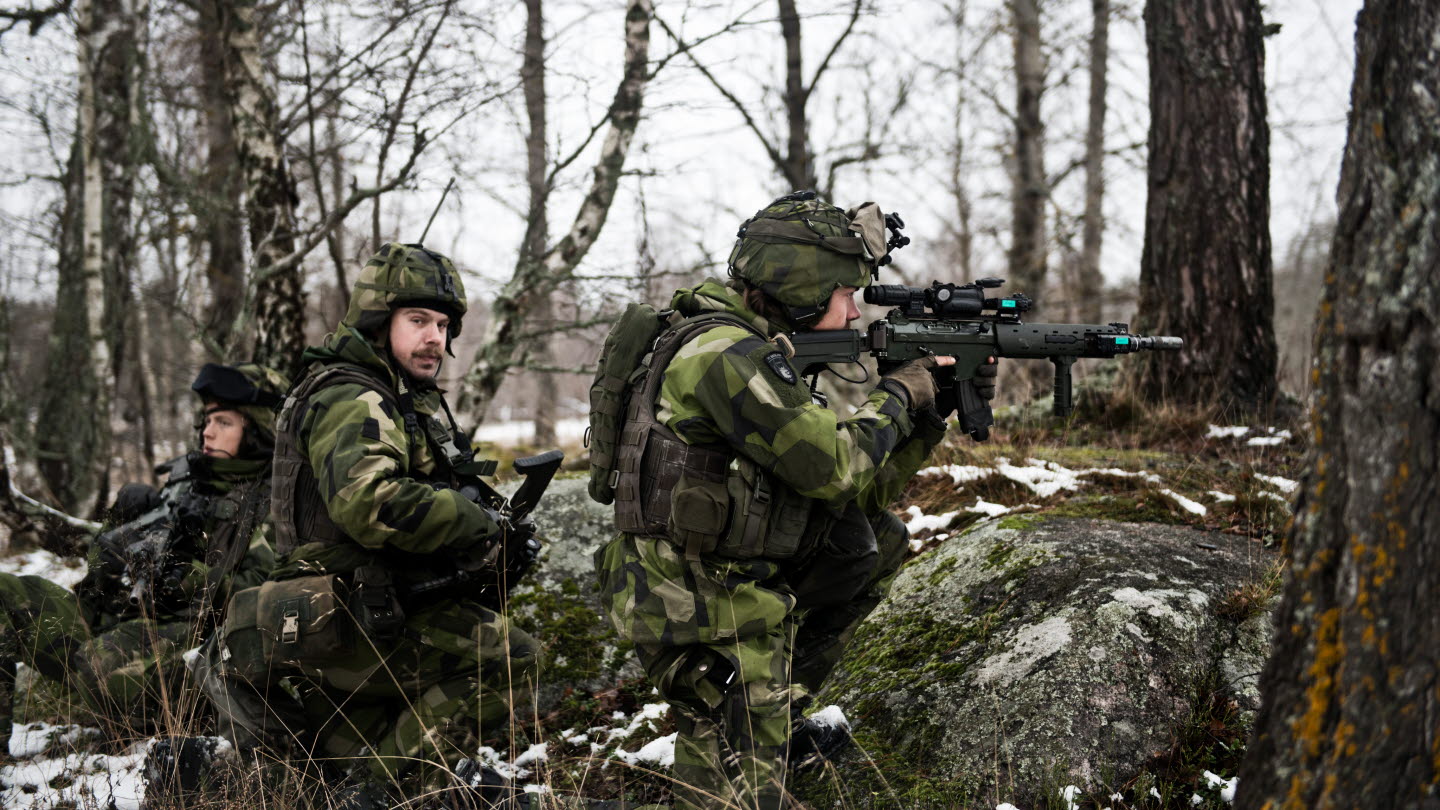 En unions armé - Försvarsmakten