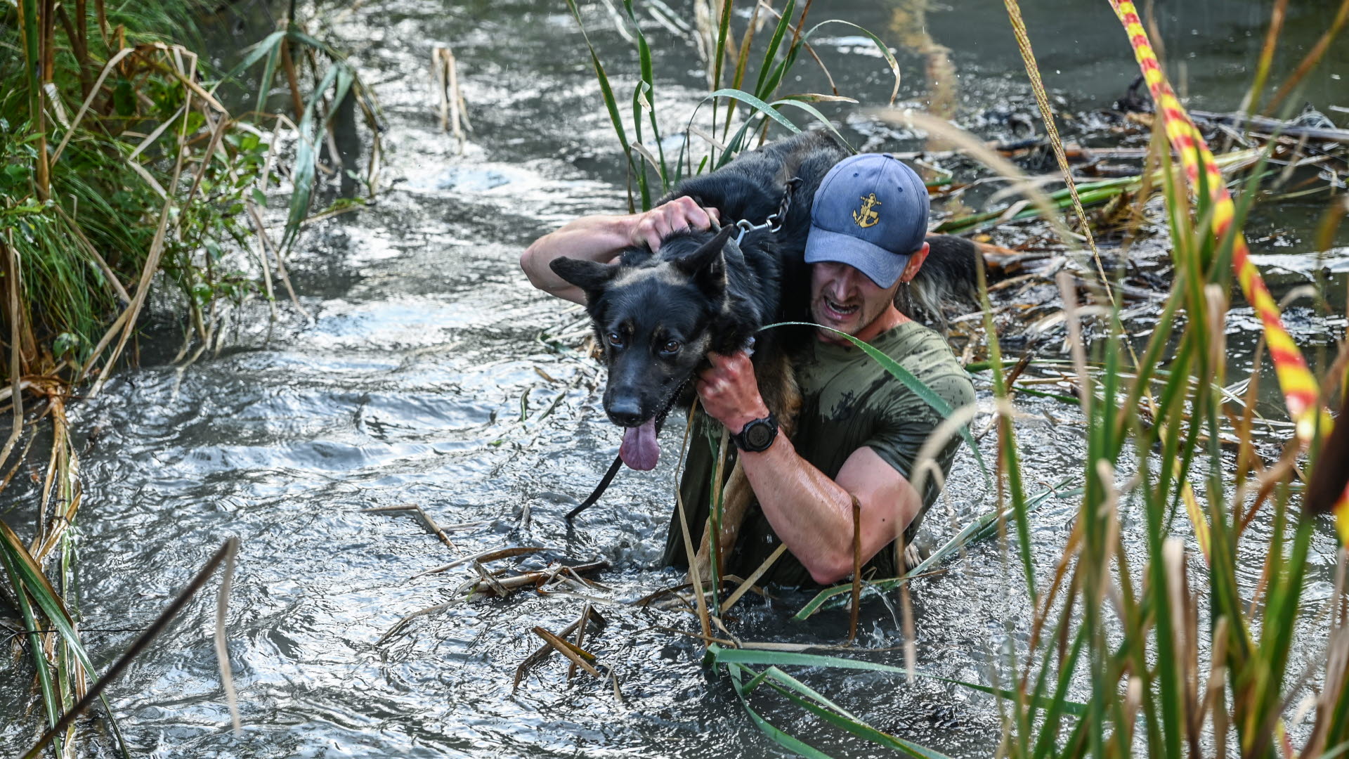Försvarsmaktens skarpaste hundekipage - Försvarsmakten
