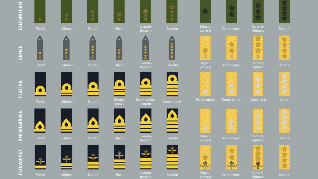 Nya gradbeteckningar införs - Försvarsmakten