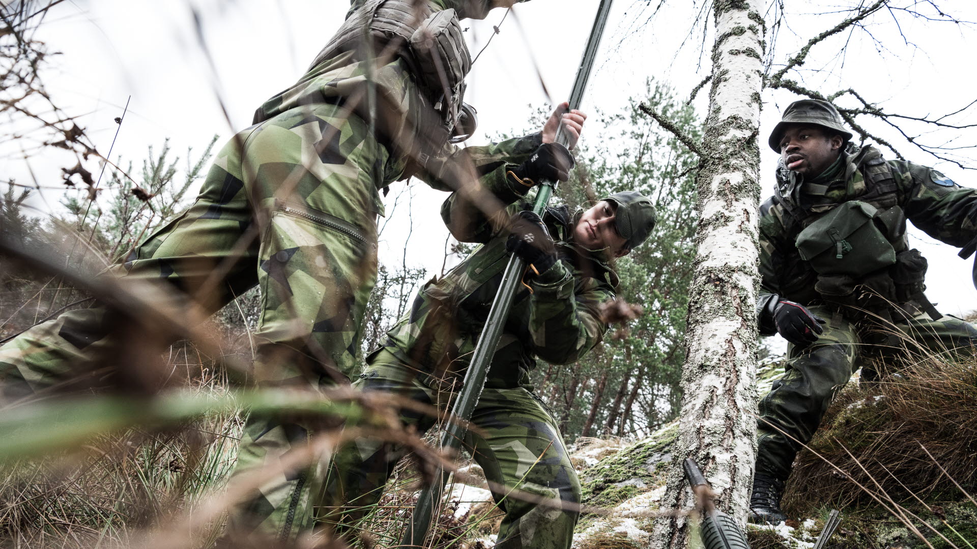 Signalist i kåren - Försvarsmakten
