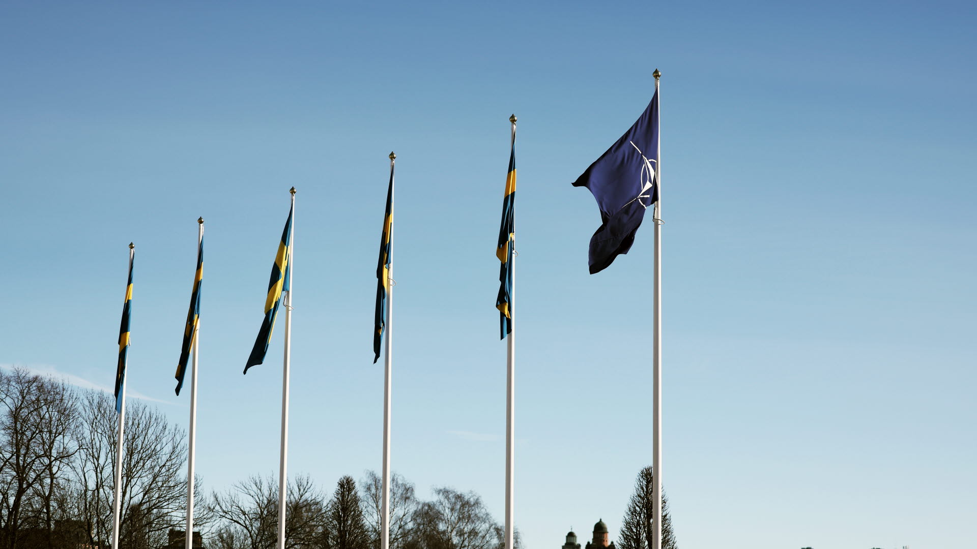 Högtidlig flaggceremoni på Karlbergs slott - Försvarsmakten