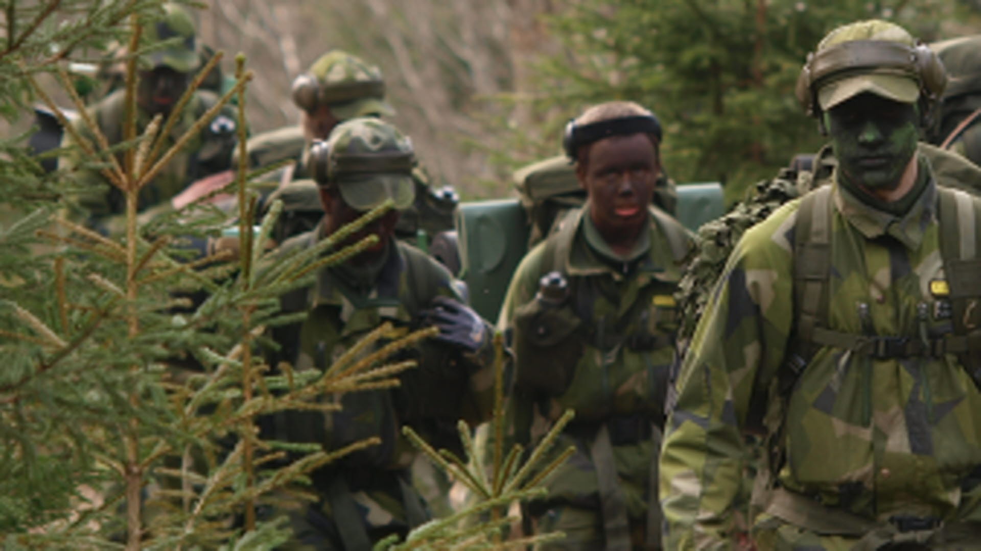 Fyra dagar i skogen - Försvarsmakten