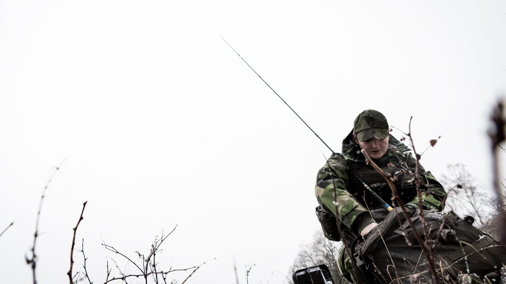 Signalist i kåren - Försvarsmakten