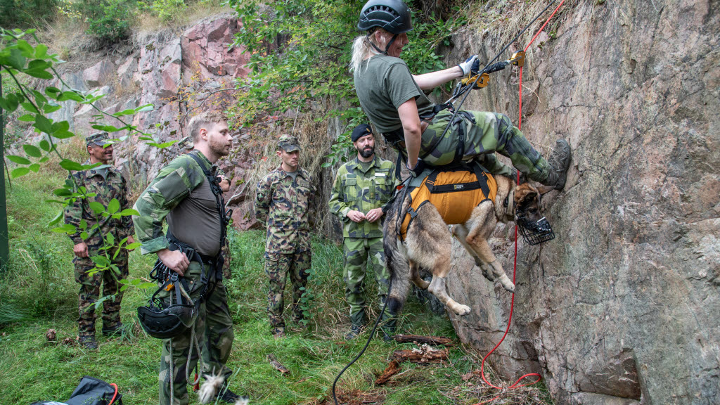 FHTE besöktes av schweiziska kollegor - Försvarsmakten