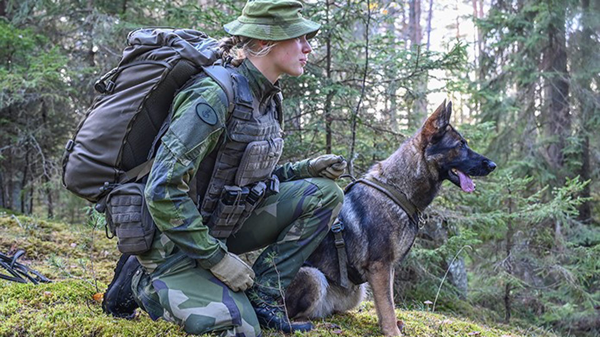 Här utbildas Försvarsmaktens hundförare i patrulltjänst - Försvarsmakten