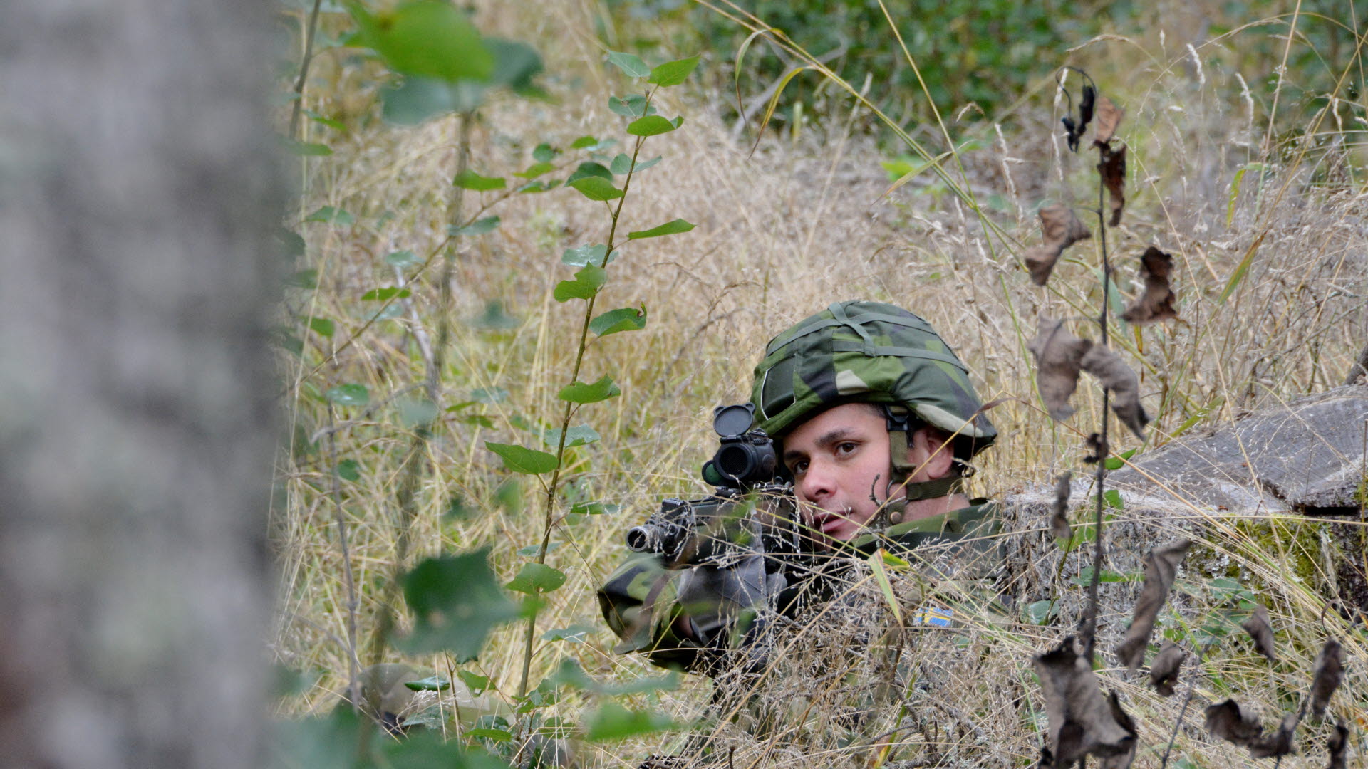 Veterancentrum höjer förmågan till väpnad strid - Försvarsmakten