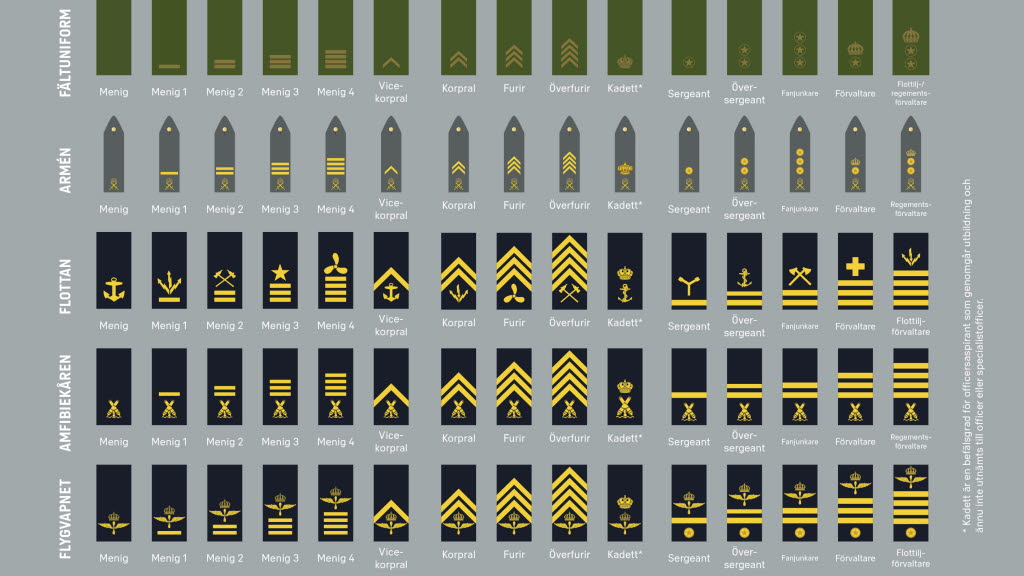 Nya gradbeteckningar införs - Försvarsmakten