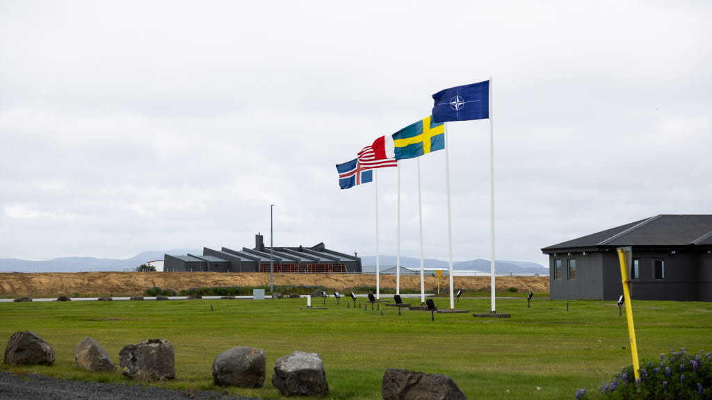 Försvarsmakten har bidragit till säkerheten under Natos toppmöte ...