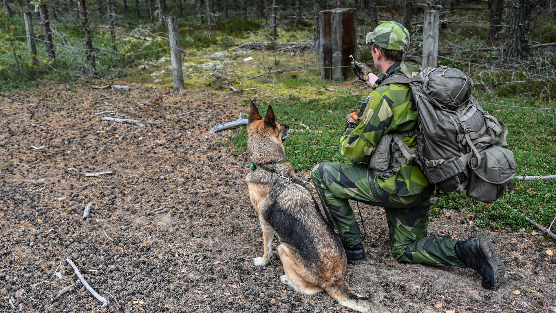 Försvarsmaktens skarpaste hundekipage - Försvarsmakten