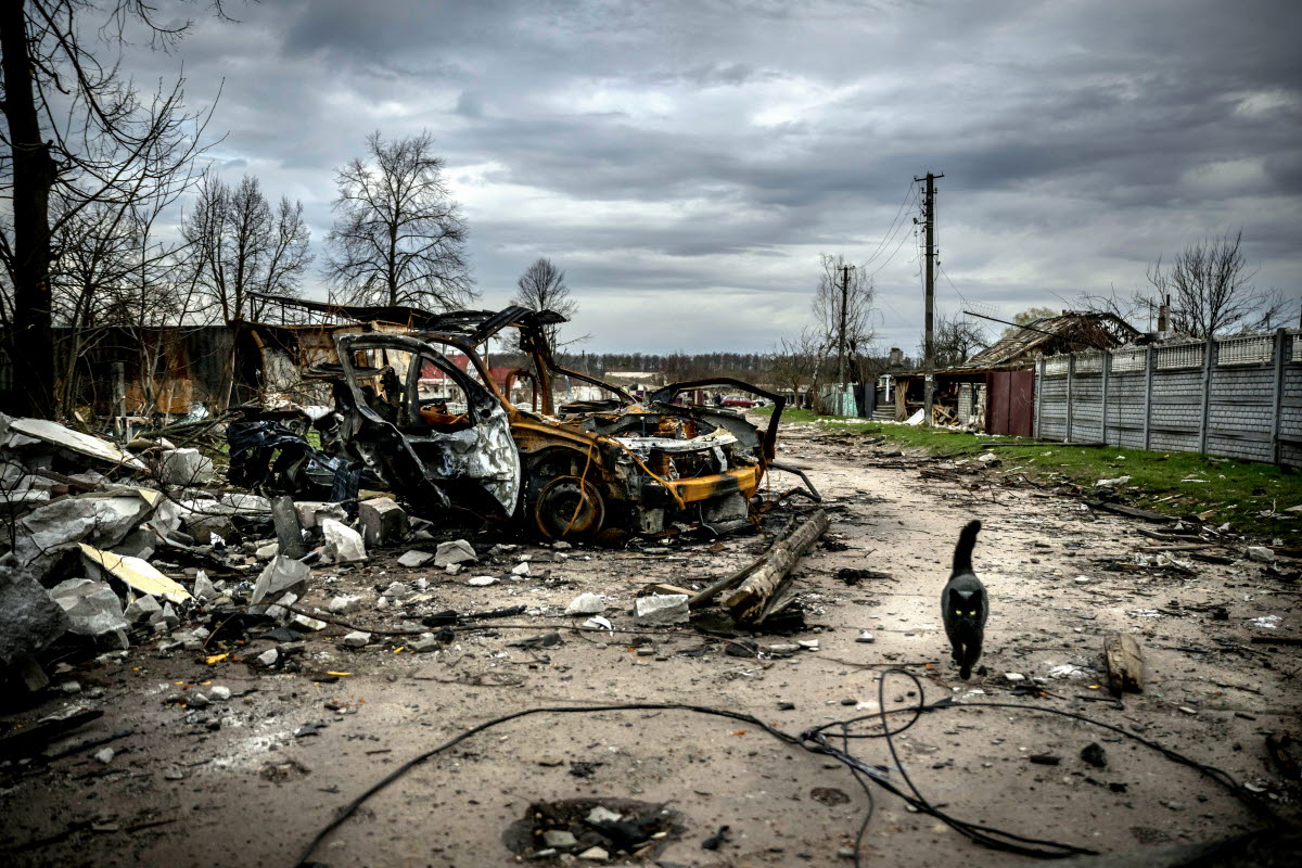 Ett år sedan kriget kom till Europa - Försvarsmakten