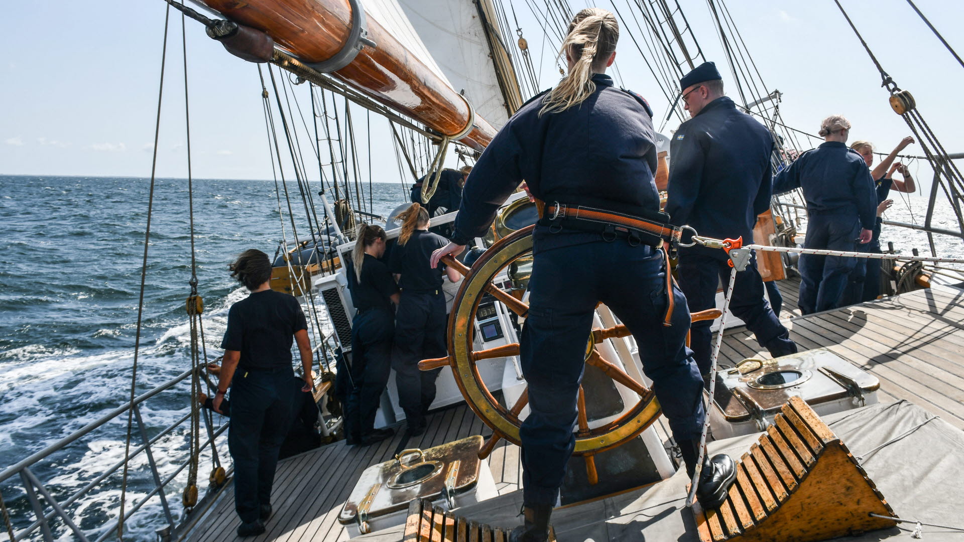 Gladan, hallå!! - Försvarsmakten