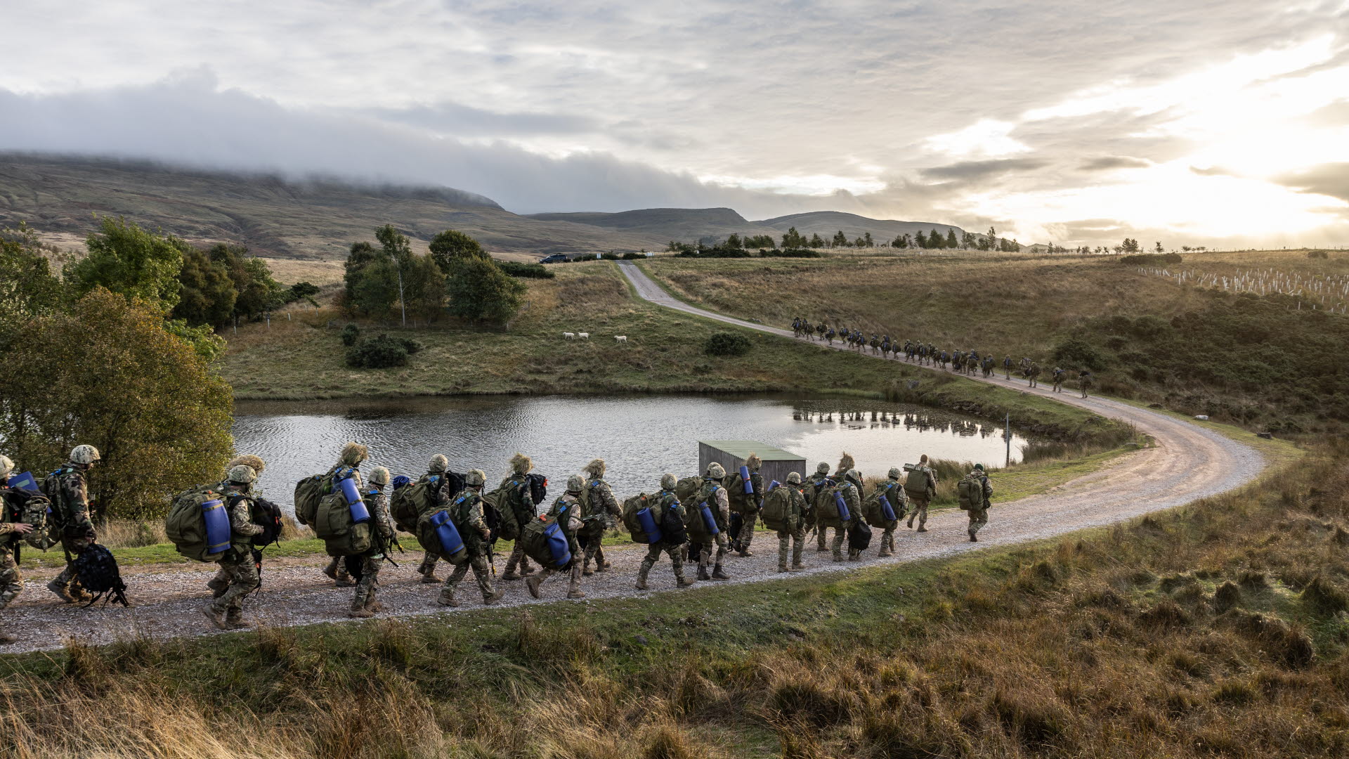 Flera lärdomar från kriget i Ukraina - Försvarsmakten